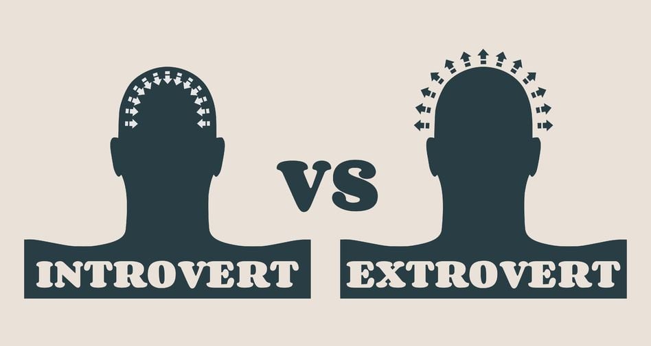Introvert Vs Extrovert Brain Introvert Vs Extrovert Brain