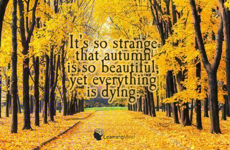 50 Autumn Quotes That Will Make You Fall in Love with This Season ...